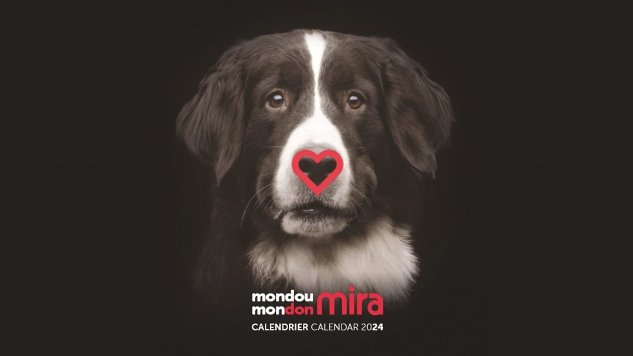 La 9e campagne Mondou Mondon au profit de la Fondation Mira est lancée ...